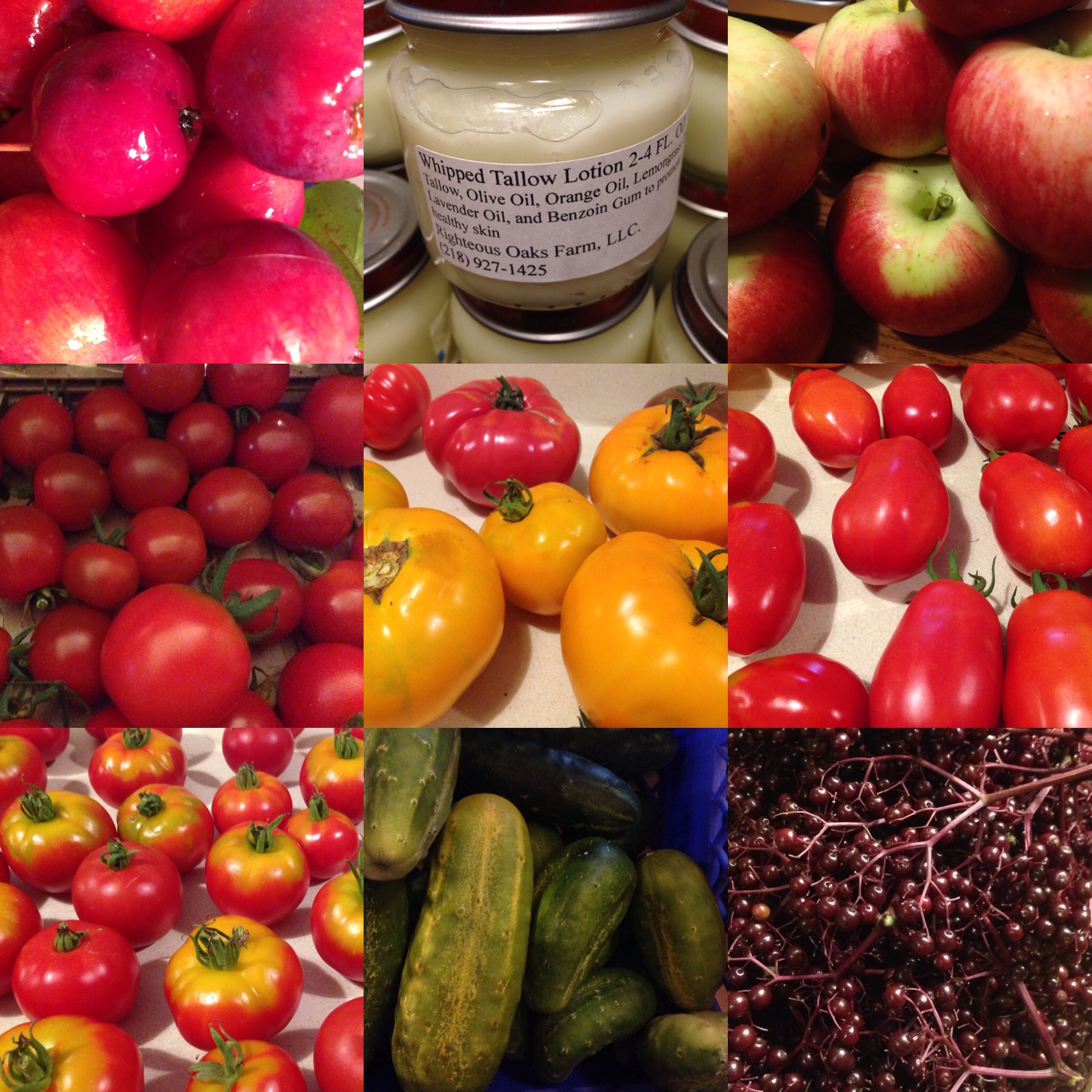 Time to order | Righteous Oaks Farm